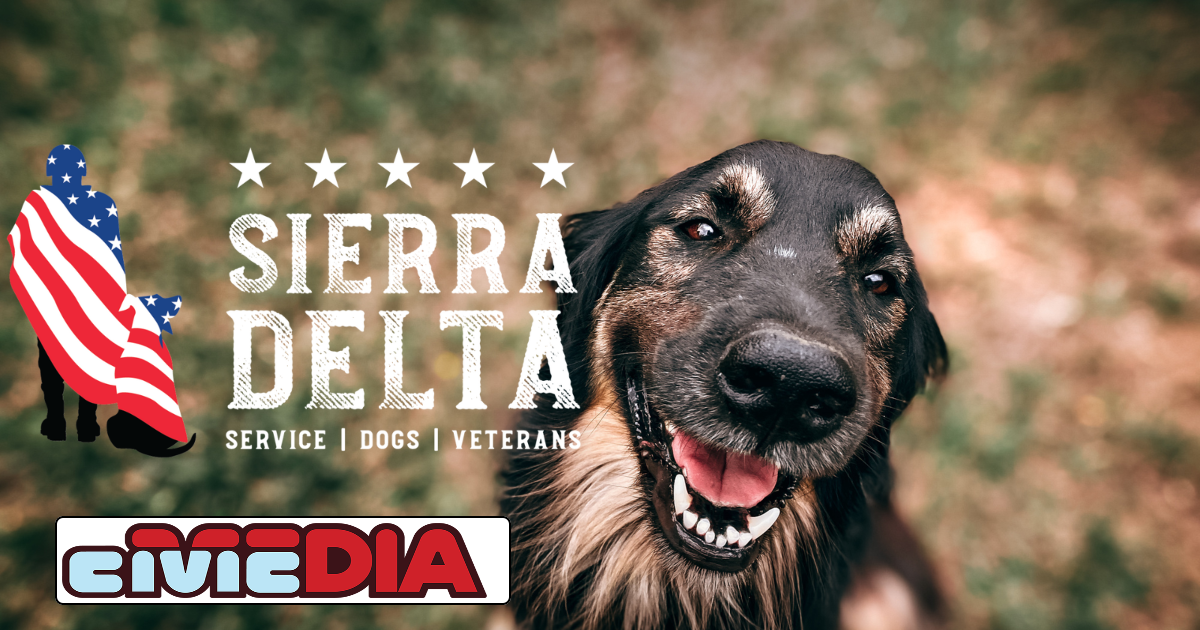Sierra Delta helps veterans obtain service dogs - Civic Media