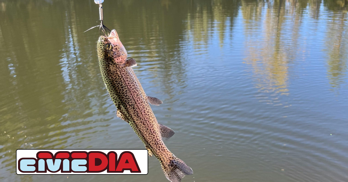 Previously Undetected Parasite Discovered in Wild Wisconsin Trout ...