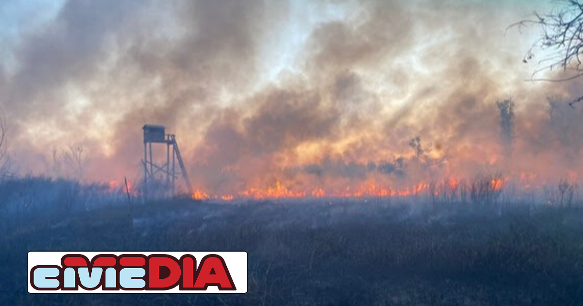 High Winds Spark Wildfires in Wisconsin - Civic Media