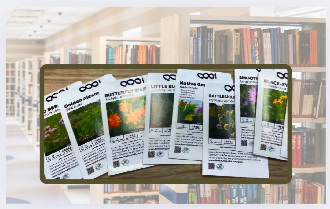 Check Out Free Seeds at the Library to Grow Native Plants Now - Civic Media