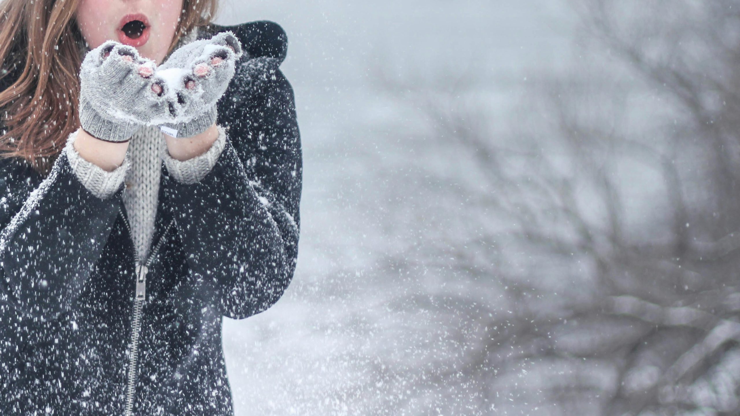 Mother Nature Shows Her Love With A Valentine's Day Snow Storm - Civic ...
