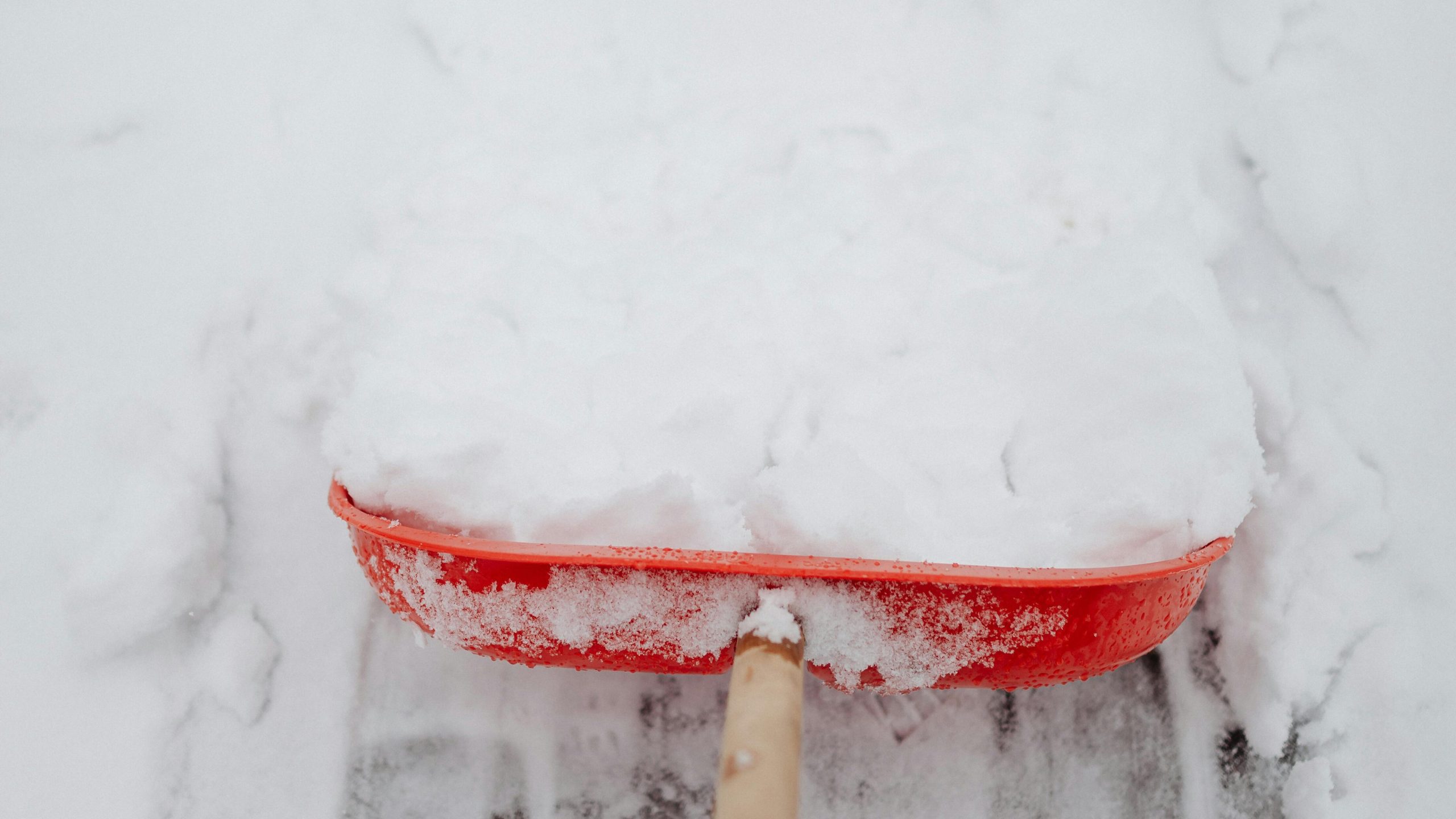 Winter Killer: Heart Attack Snow - Civic Media