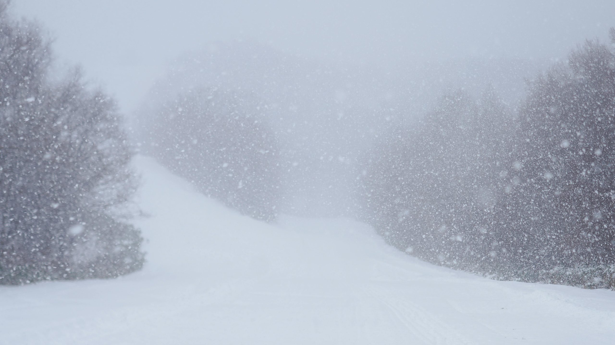 Winds Whip Up Whiteout Conditions in Wisconsin - Civic Media