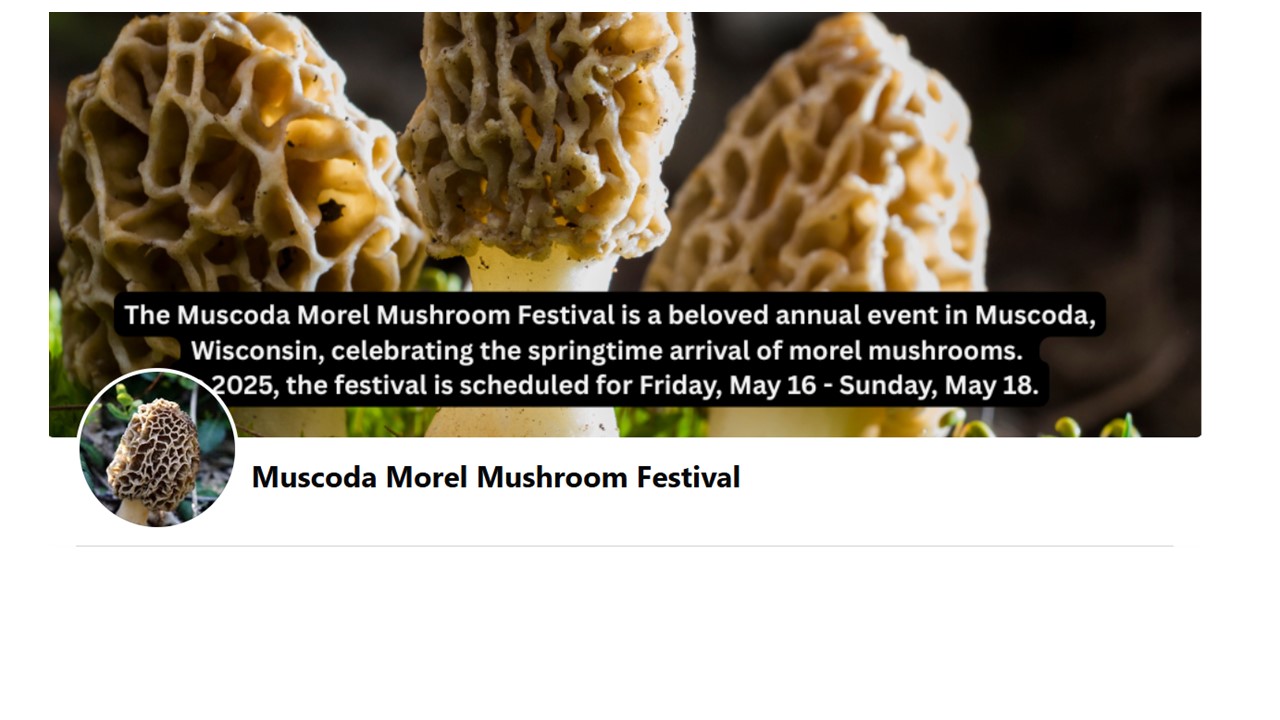 Morel Mushroom Capital of Wisconsin hosts festival - Civic Media