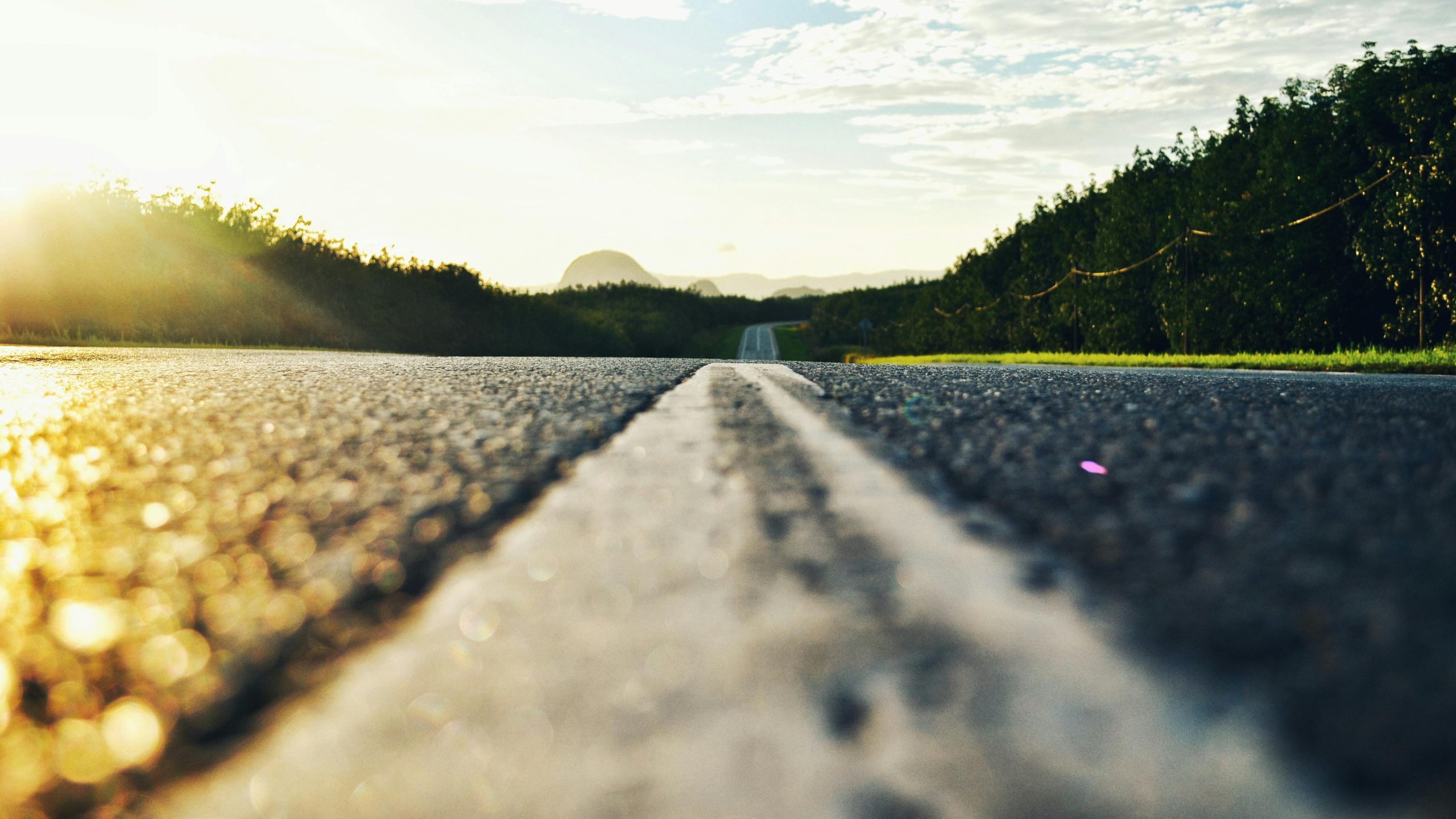 Too Hot To Handle, Pavement Buckling - Civic Media