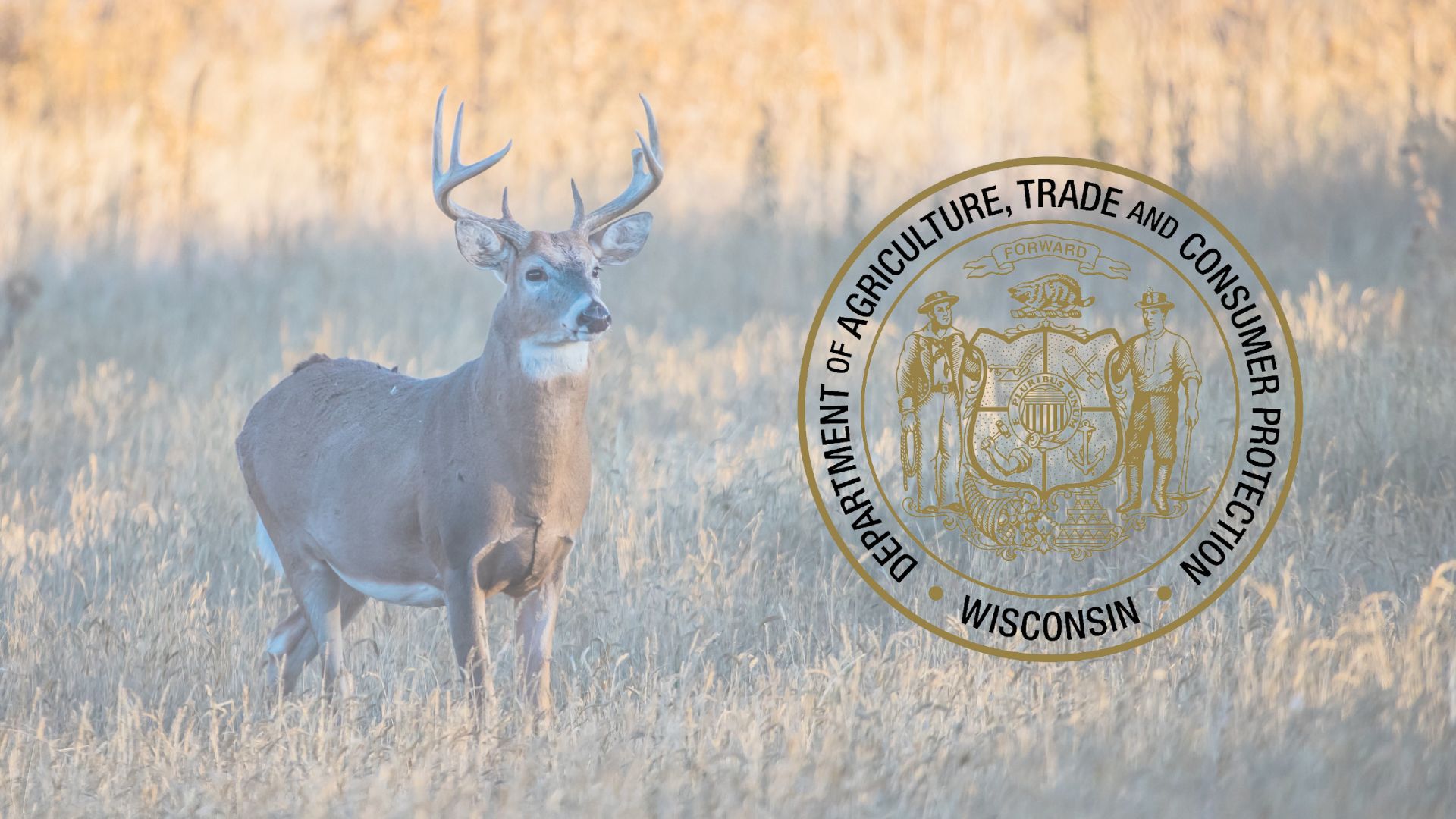 CWD confirmed at Richland County Deer Farm - WFHR - Wisconsin Rapids